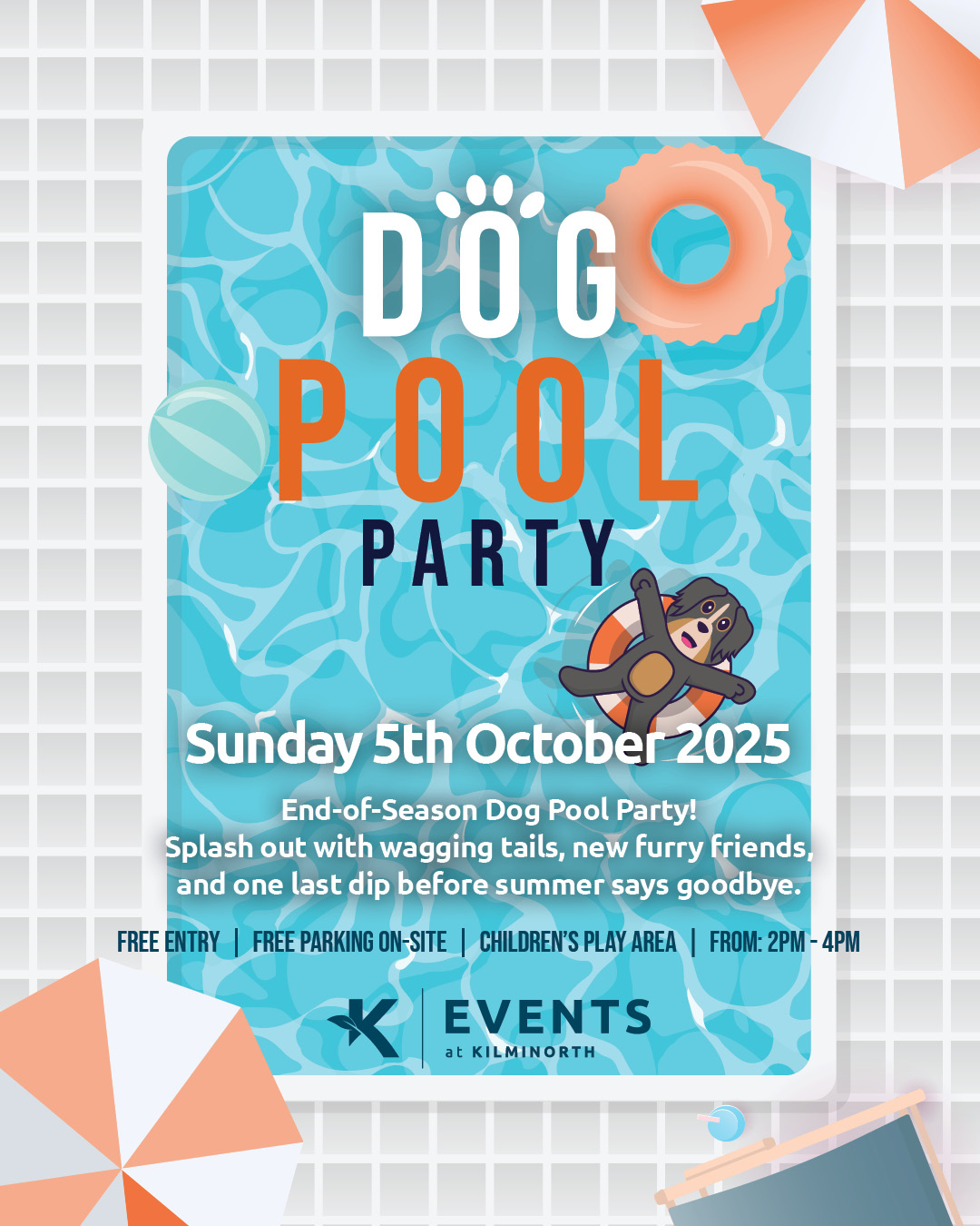 Paws, Pools & Pure Joy: Inside Kilminorth’s End-of-Season Dog Pool ...